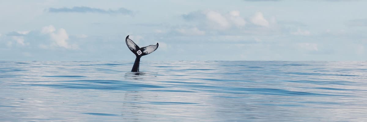 How to approach Tailscale security and compliance | Blog | Steampipe